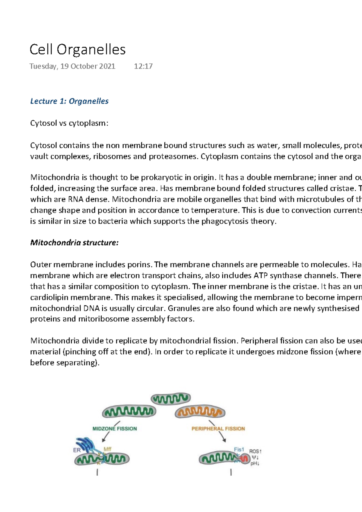Cell Organelles - Notes from lecture - Lecture 1: Organelles Cytosol vs ...