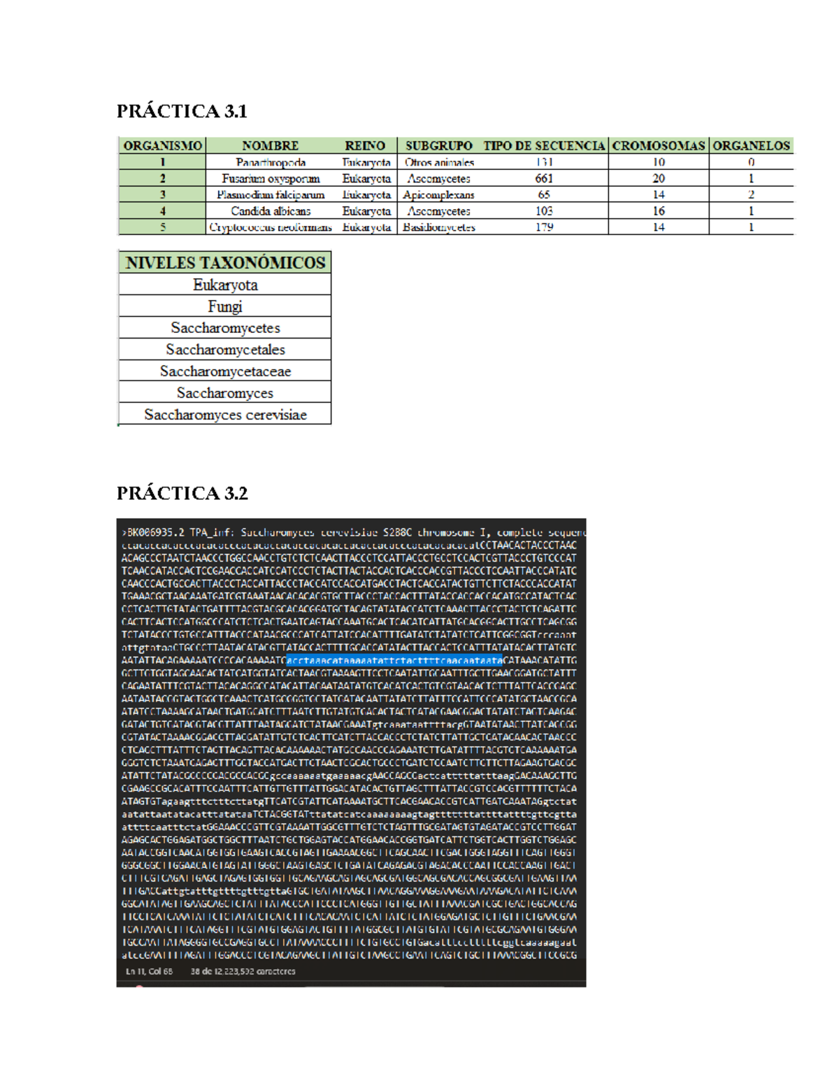 Práctica 3 Bioinformática - PRÁCTICA 3. Nombre del gen: HSL Nombre de la proteína: Protein ...