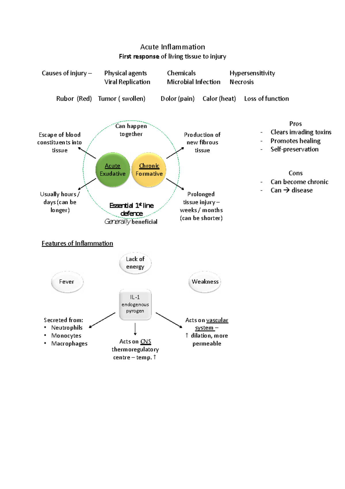 Acute Inflammation - Pathology module - Year 2 - Inflammation Acute ...