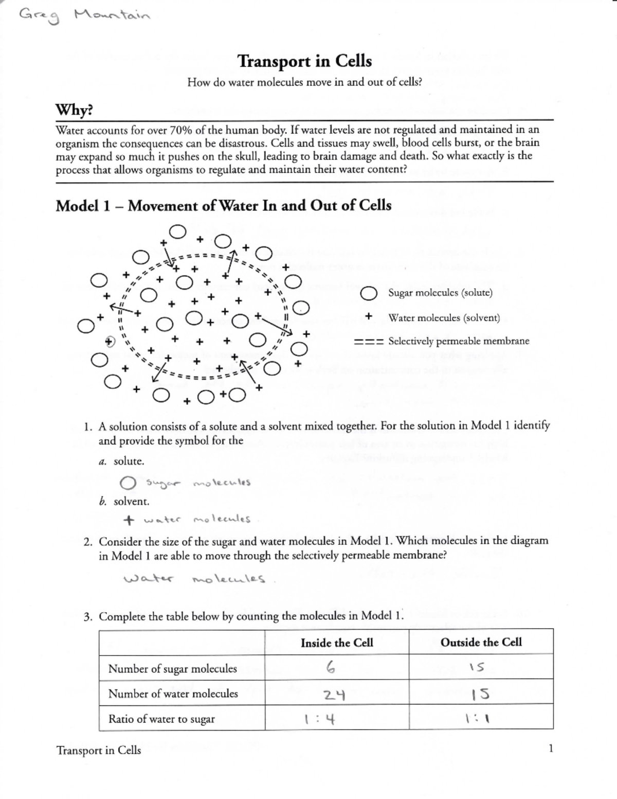 Questions 1-3 - Biology answers - GtT-e t^o-aj- why? Transport in Cells ...