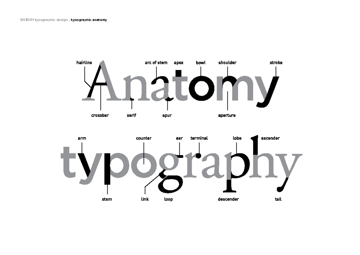Typography Anatomy - DVB201 - DVB201 typographic design. typographic ...