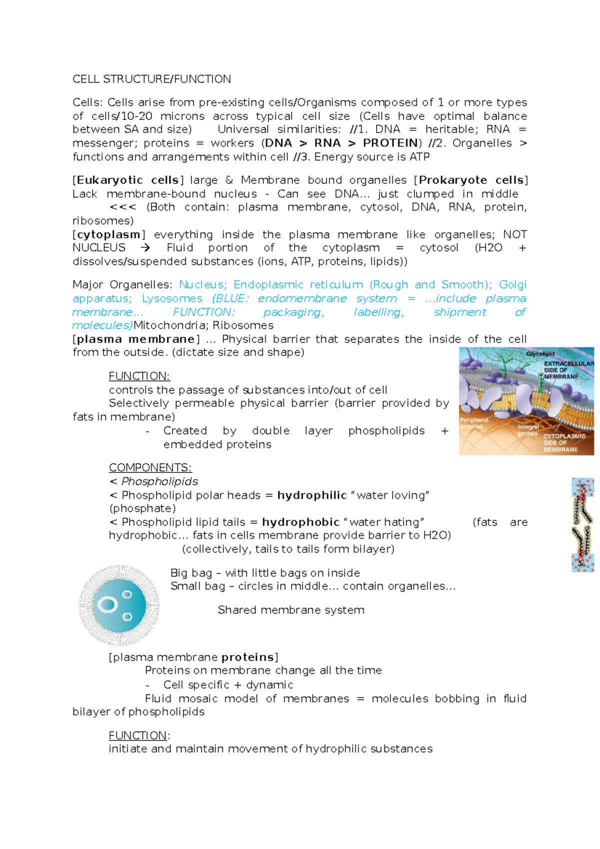 Bio Sci Sem1 Cell Membrane - Biology for Biomedical Science: Cellular ...