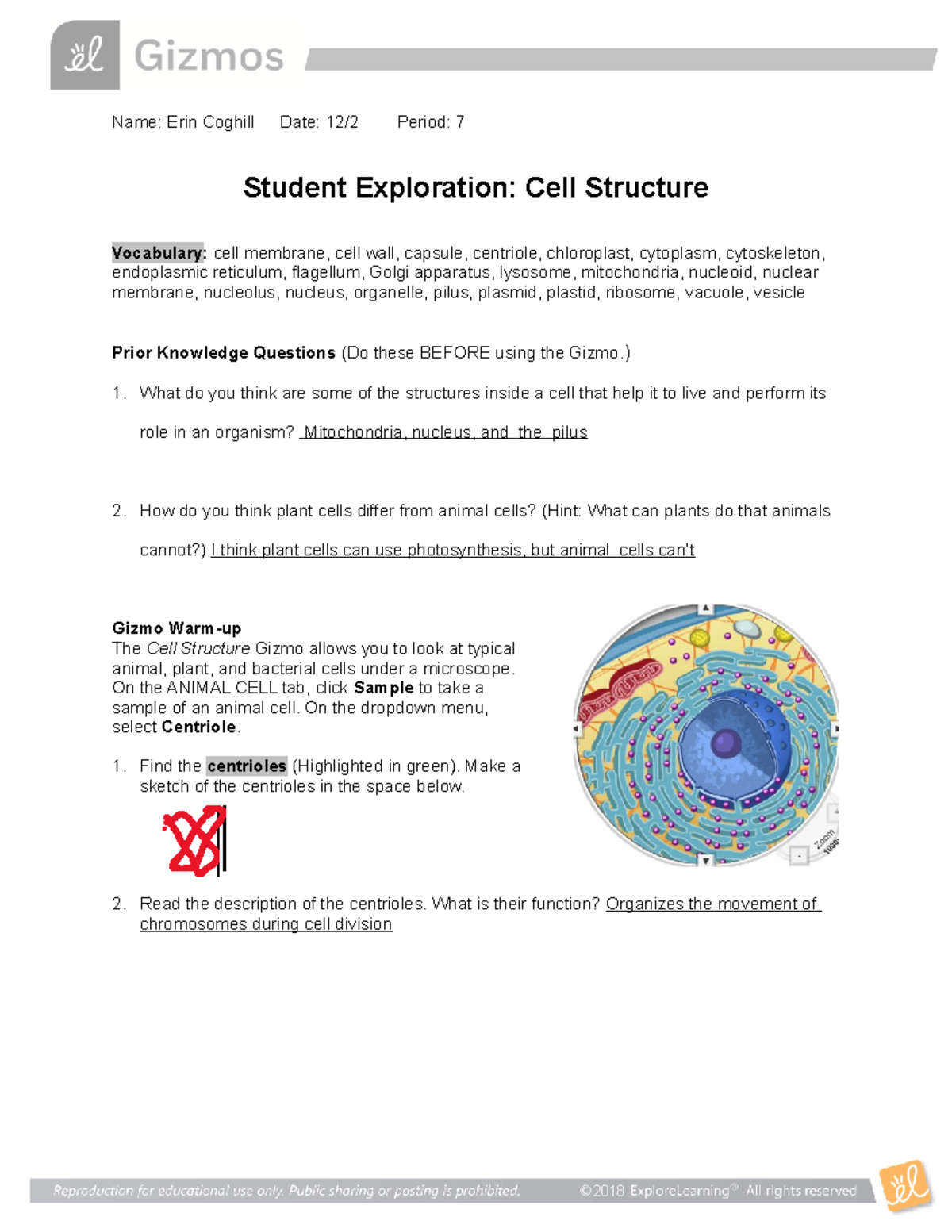 Cell Structure SE 2yb - Name: Erin Coghill Date: 12/2 Period: 7 Student ...
