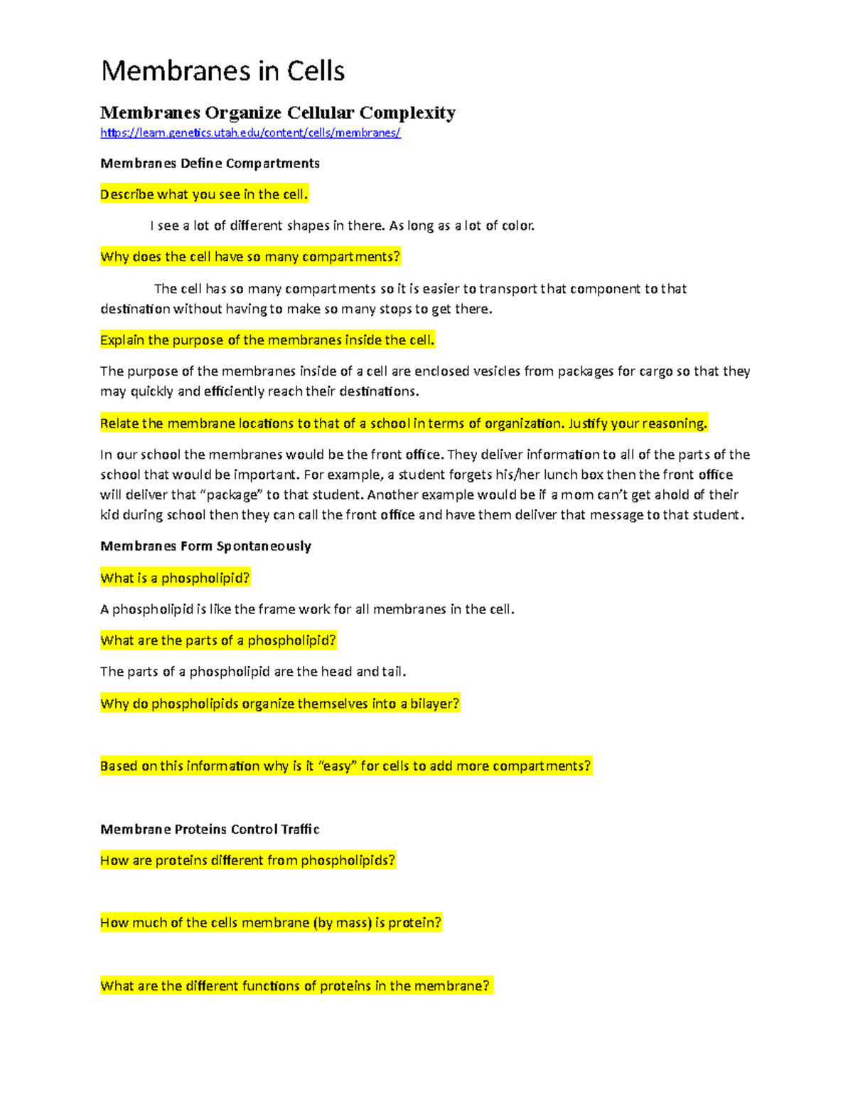 Amazing Cells Reading Assignment - Membranes in Cells Membranes ...