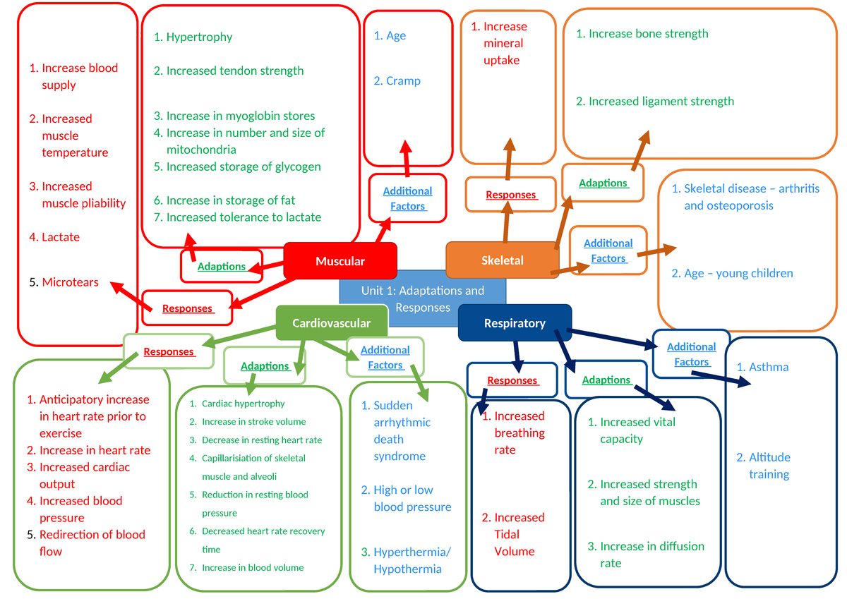 Adaptation responses mind map - Completed version - Unit 1: Adaptations ...