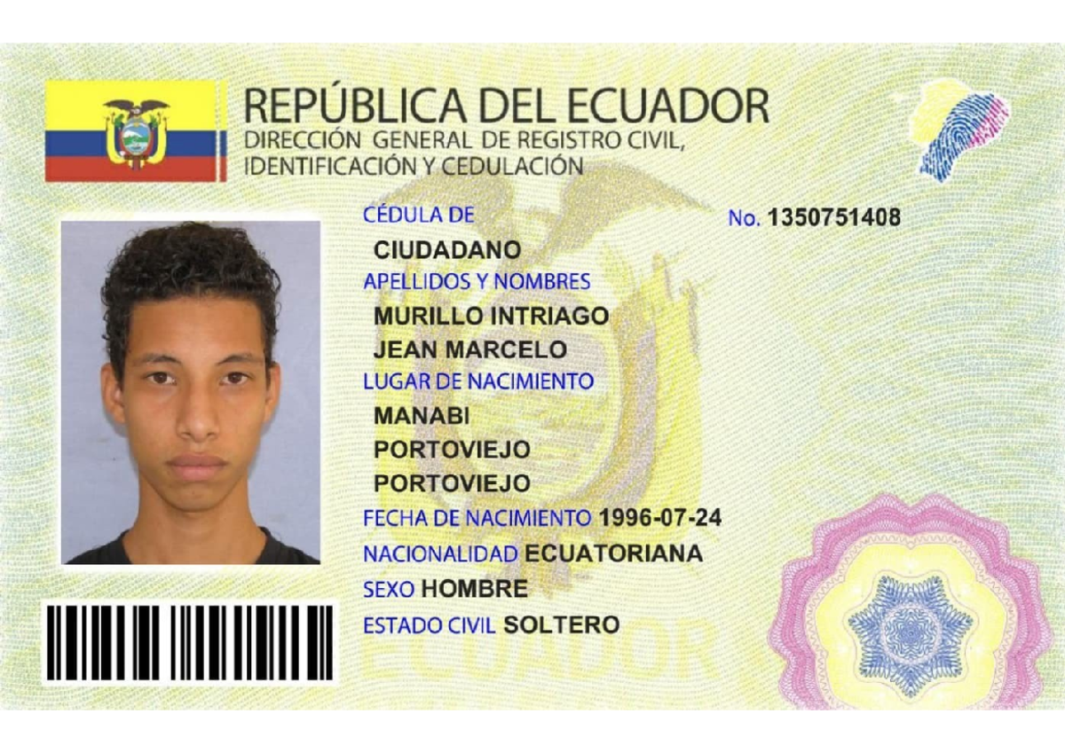 biologia de la morfologia de los animales en plass - REPUBLICA DEL ...