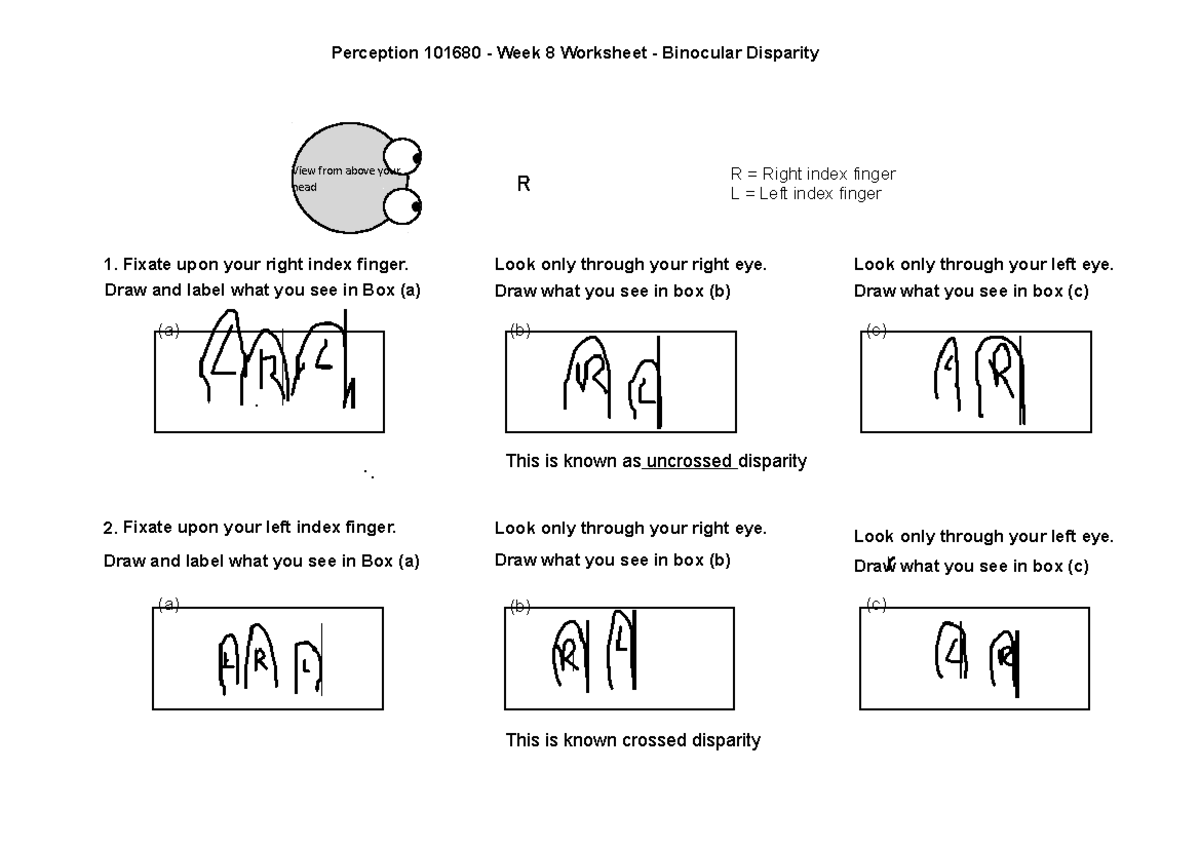Perception: Assessment 2 part, Worksheet week 2 - Perception 101680 ...