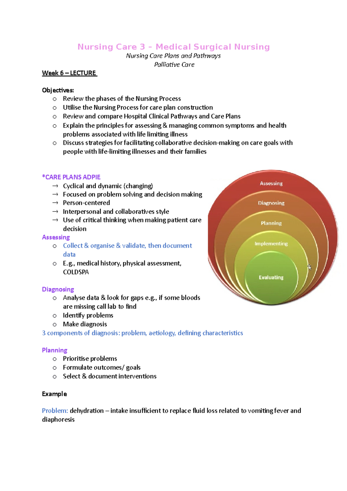 WK 6 - Nursing Care Plans and Pathways & Palliative Care - Nursing Care ...
