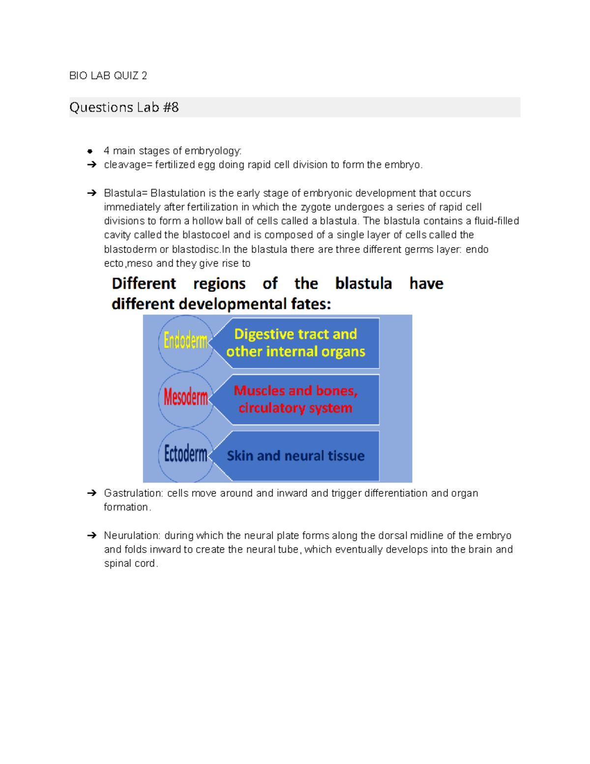 BIO 105 Lab Chapter 9-12 quiz Study Guide - BIO LAB QUIZ 2 Questions Lab 4 main stages of - Studocu