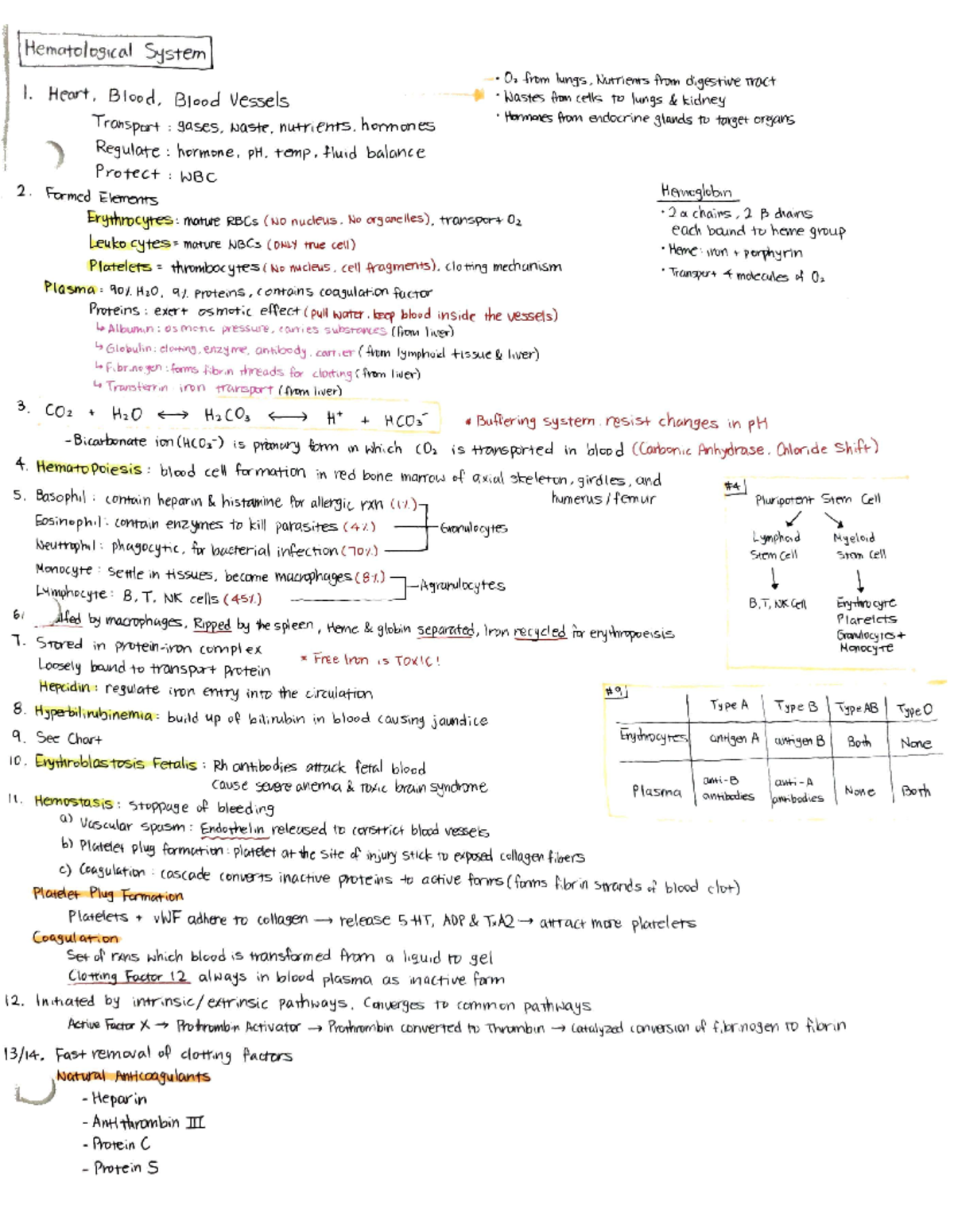 Anatomy and Physiology 2 - PSB 225 - Studocu
