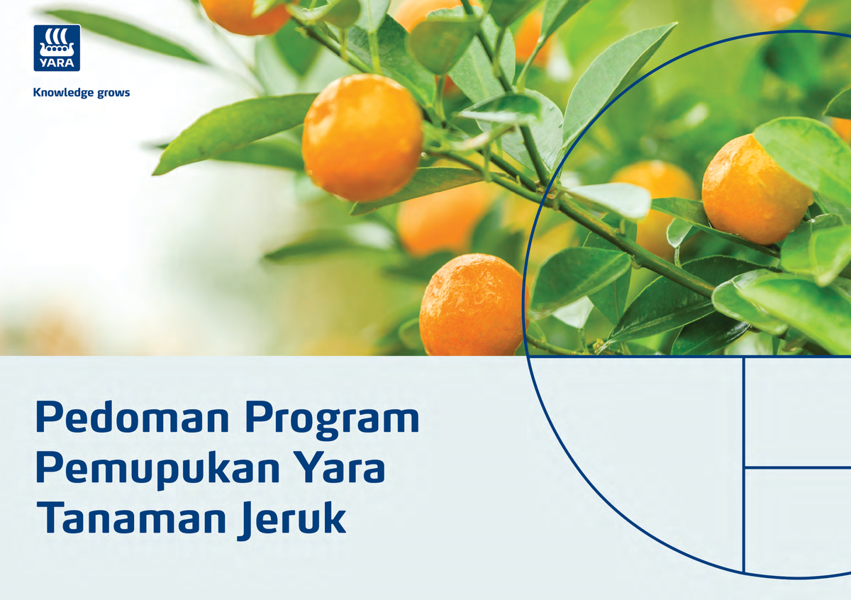 Brochure - Citrus - dasADSASD SAASSAF - Professional English - Studocu