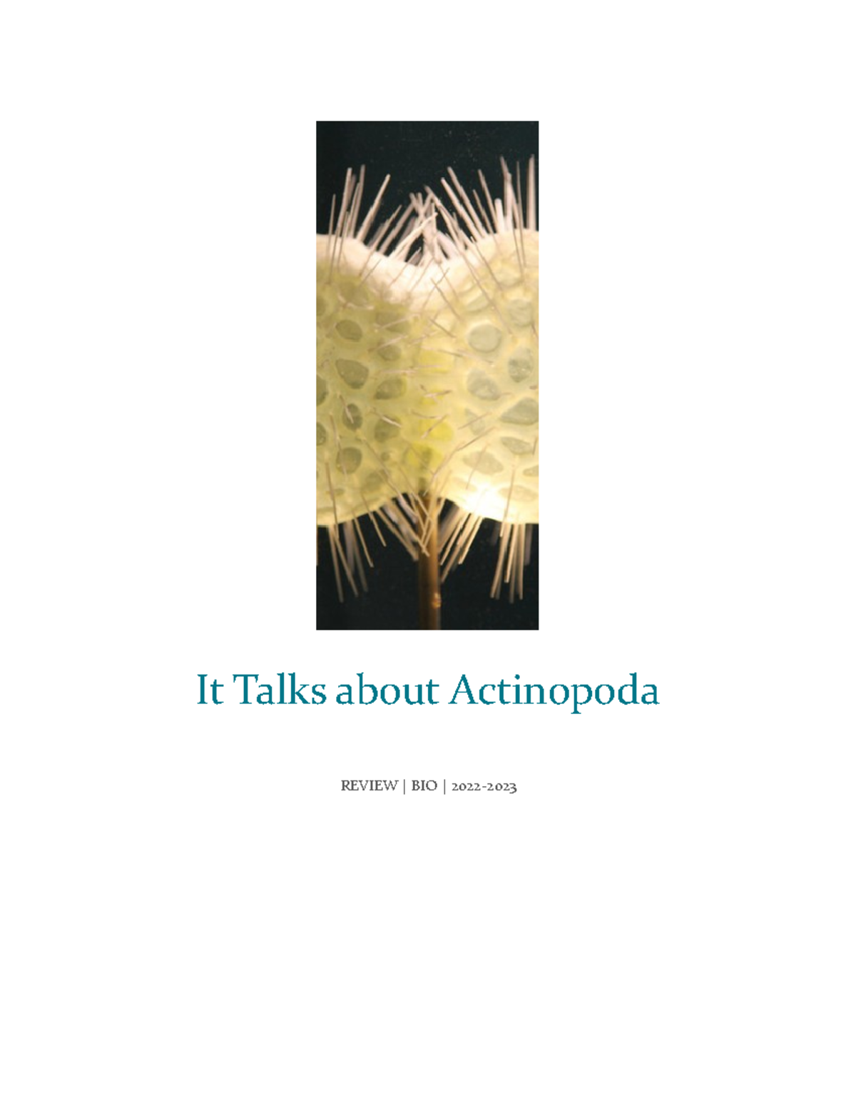 A Study that Talks about Actinopoda - It Talks about Actinopoda REVIEW ...