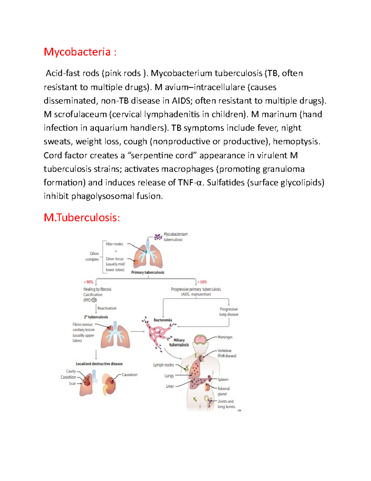 Mycobacteria - Mycobacterium tuberculosis (TB, often resistant to multiple drugs). M - Studocu