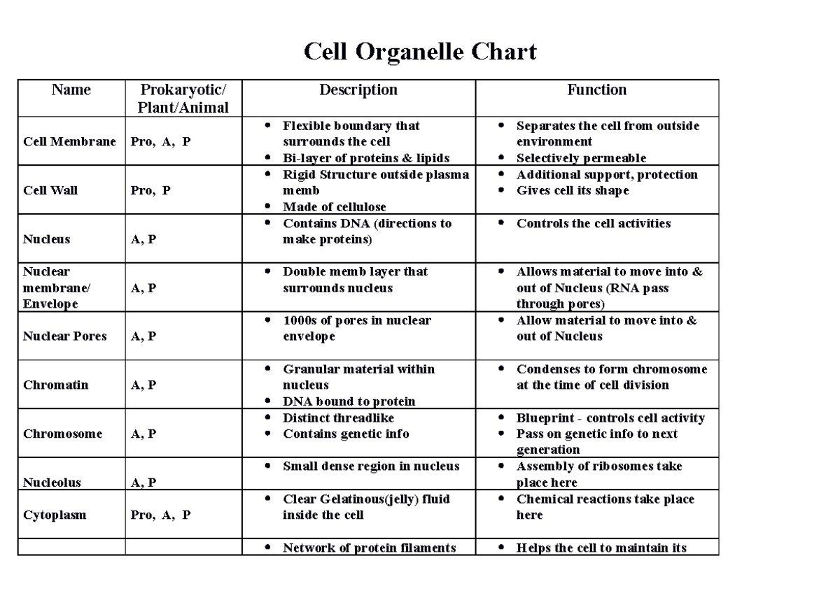Cell Organelle Chart Key 2012 - Cell Organelle Chart Name Prokaryotic ...