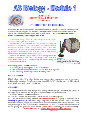 Cell recognition and the immune system Mastery Booklet - Do Now ...