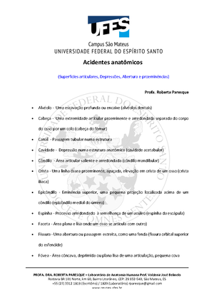 Ciclo estral - Proestro é quando o GnRH que é um hormônio hipotalâmico ...