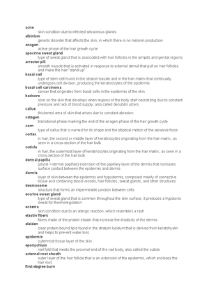 Layers of the Skin - notes - acne skin condition due to infected ...