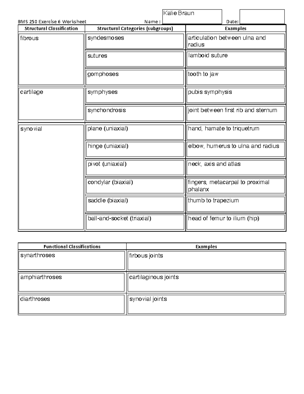 Exercise 6 Handout (joints) - with textboxes-2 - BMS 250 Exercise 6 ...