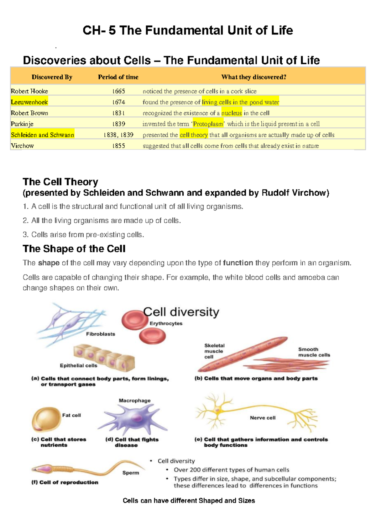 CH-5 - The Fundamental Unit of Life - Discoveries about Cells – The ...