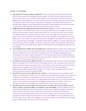 Basic Principles OF LIFE - BASIC PRINCIPLES OF LIFE Principles of life ...