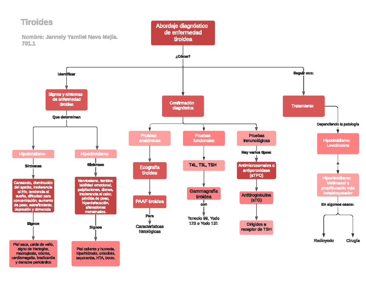 Tiroides Mapa conceptual - Dependiendo la patología o En algunos casos ...
