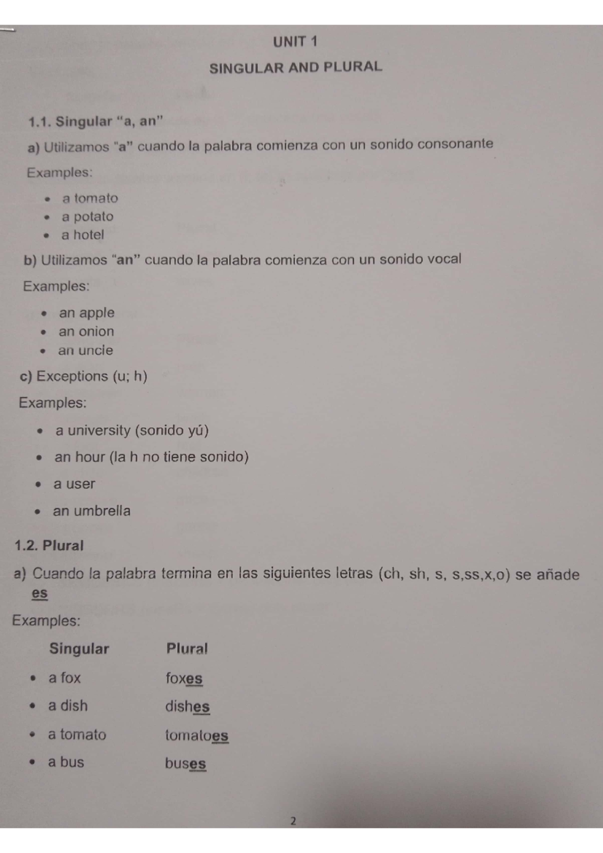 Tema 1 singular y plural - Apoyo y cursillo - Studocu