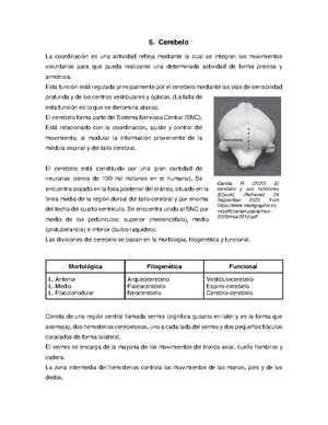 Ptialismo y sialorrea, agruras y acedias diferencias - Ptialismo ...