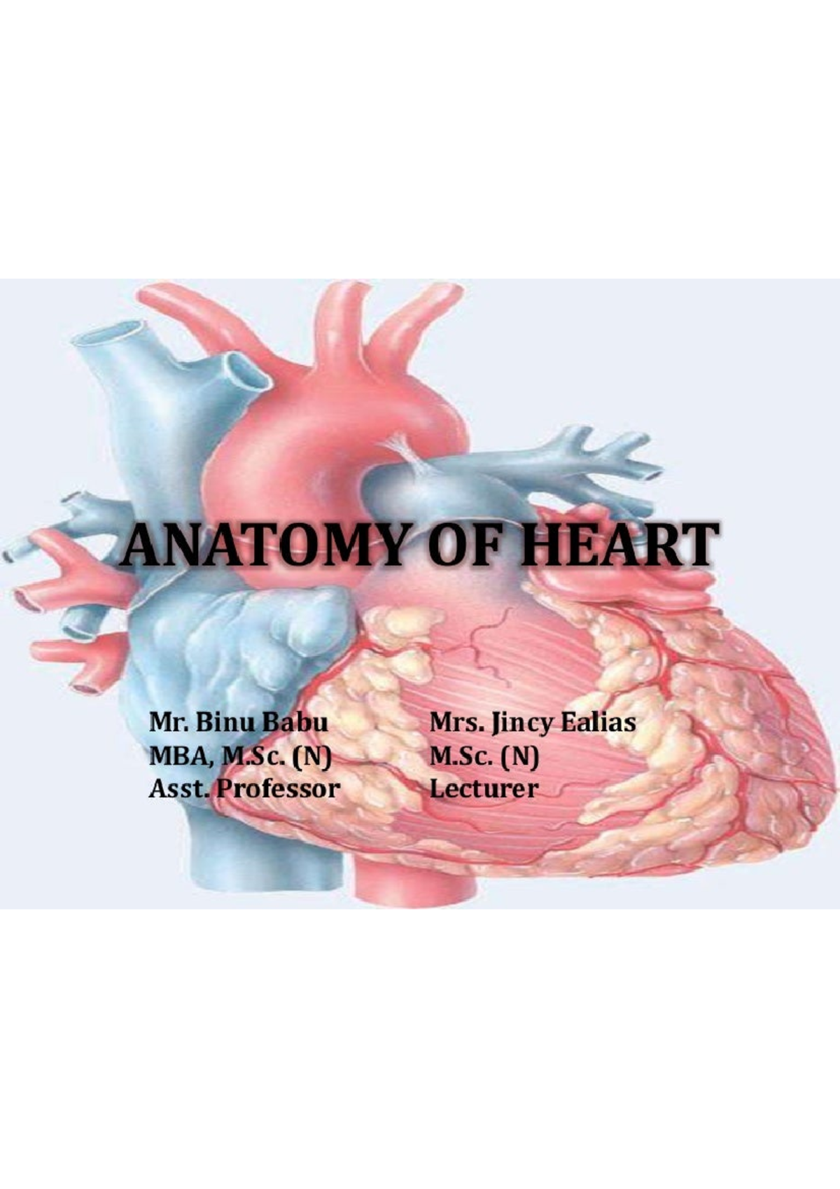 Anatomy of heart - BSc NURSING - Studocu