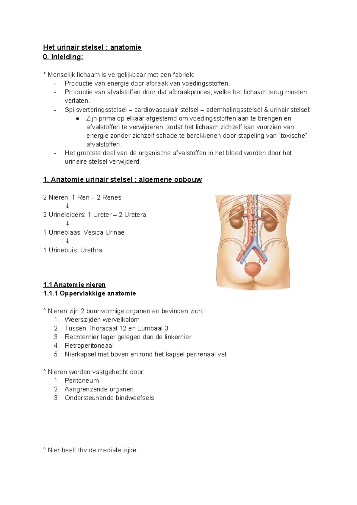 Het urinair stelsel _ anatomie - Het urinair stelsel : anatomie 0 ...