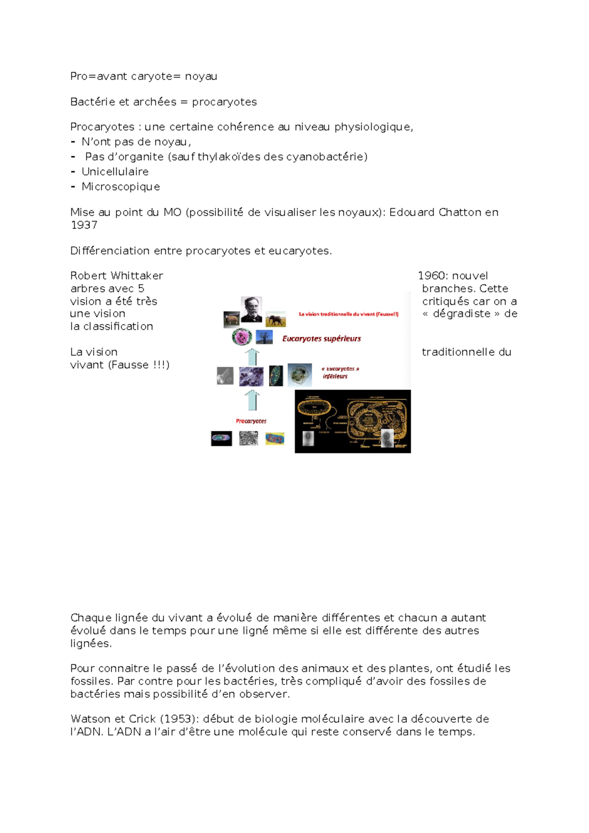 CM1 - base de la bactério - Pro=avant caryote= noyau Bactérie et ...