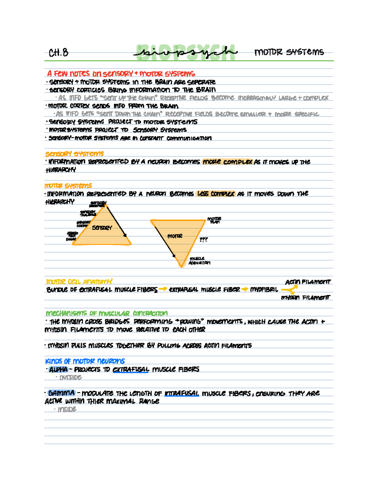 Psc 101 ch 8 Note Feb 26, 2020 - CH 8 birepsych MOTORSYSTEMS AFEWNOTES ...
