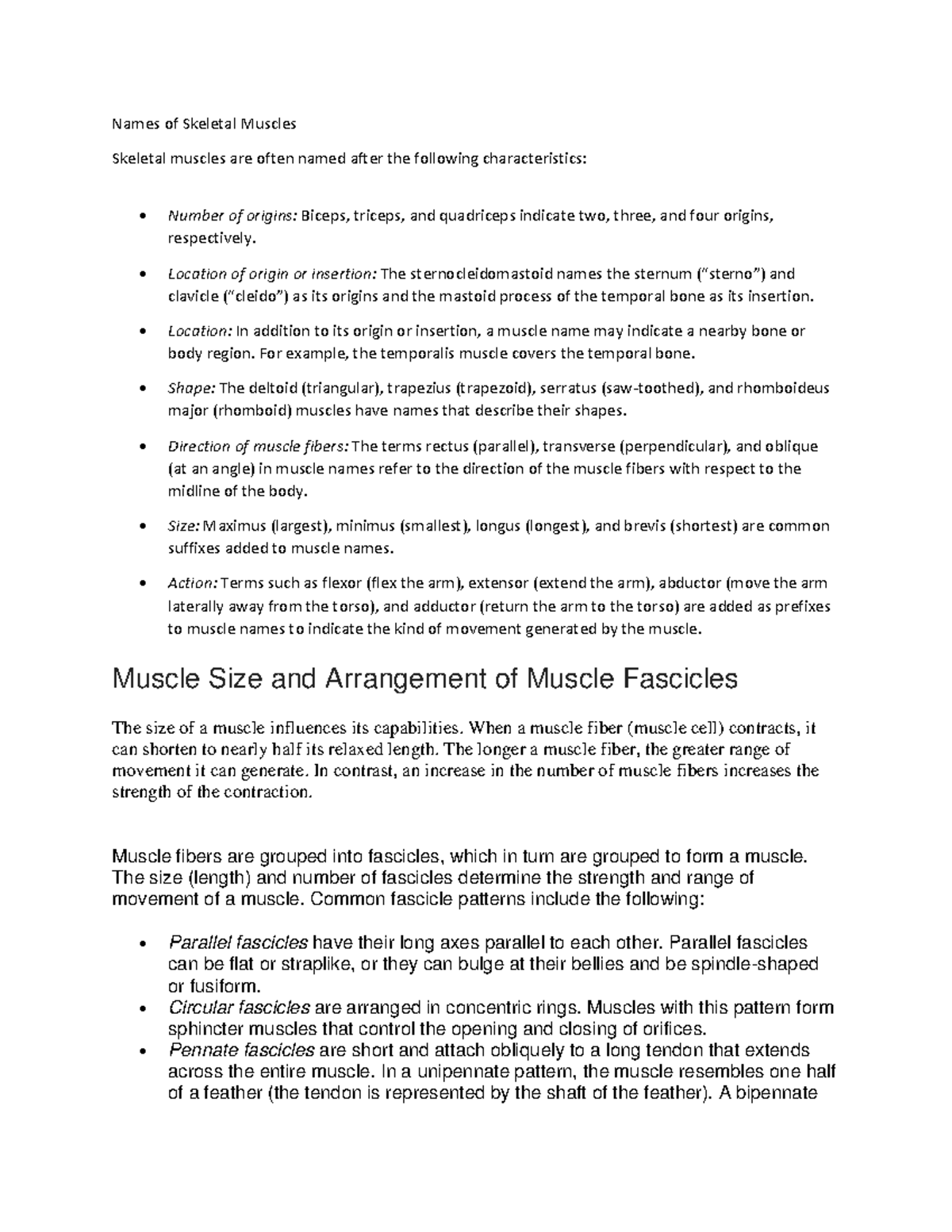 Skeletal Muscles - Notes - Names of Skeletal Muscles Skeletal muscles ...