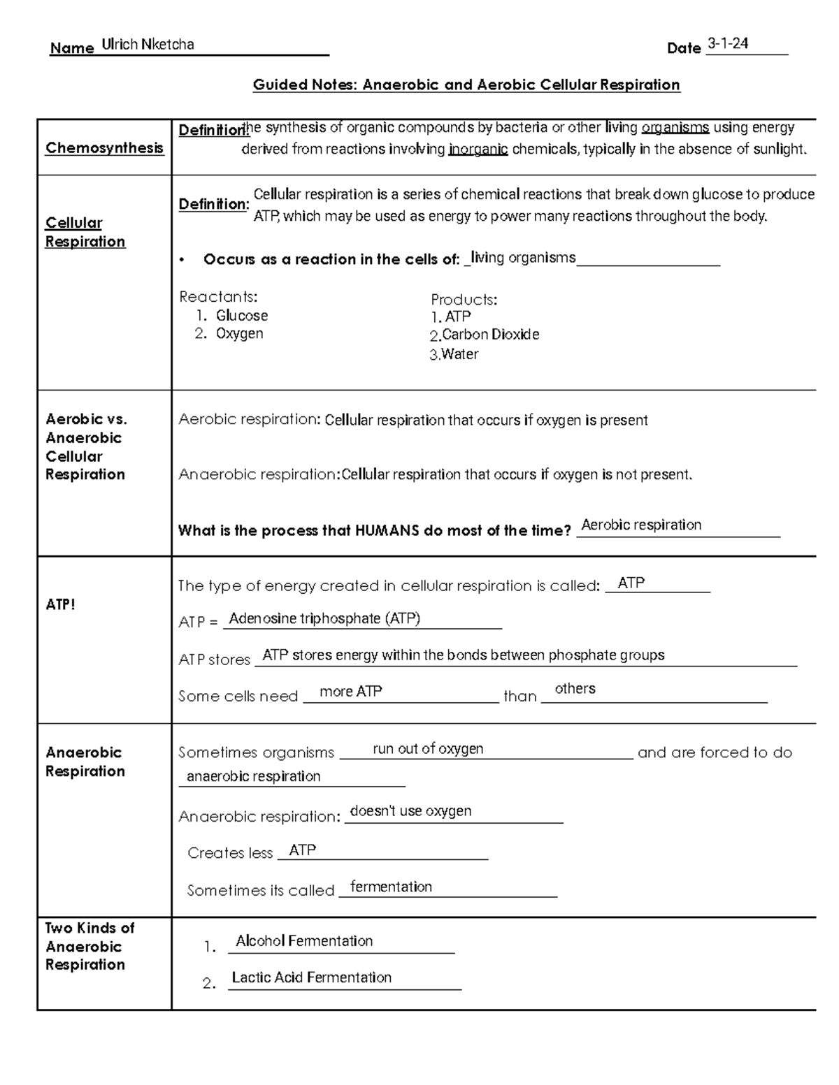 Guided Notes Anaerobic and Aerobic Cellular Respiration - Name