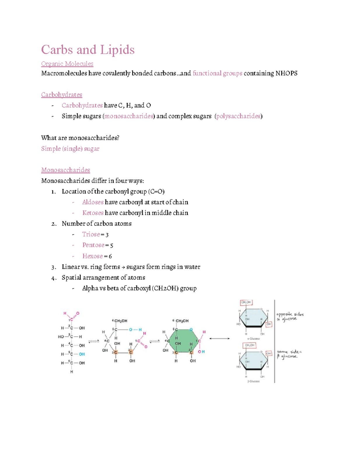 BIO 111 - Carbs and Lipids - Carbs and Lipids Organic Molecules ...
