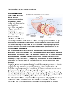 anatomie van het borstholte en buikholte - 1 Geef de quadranten aan van ...