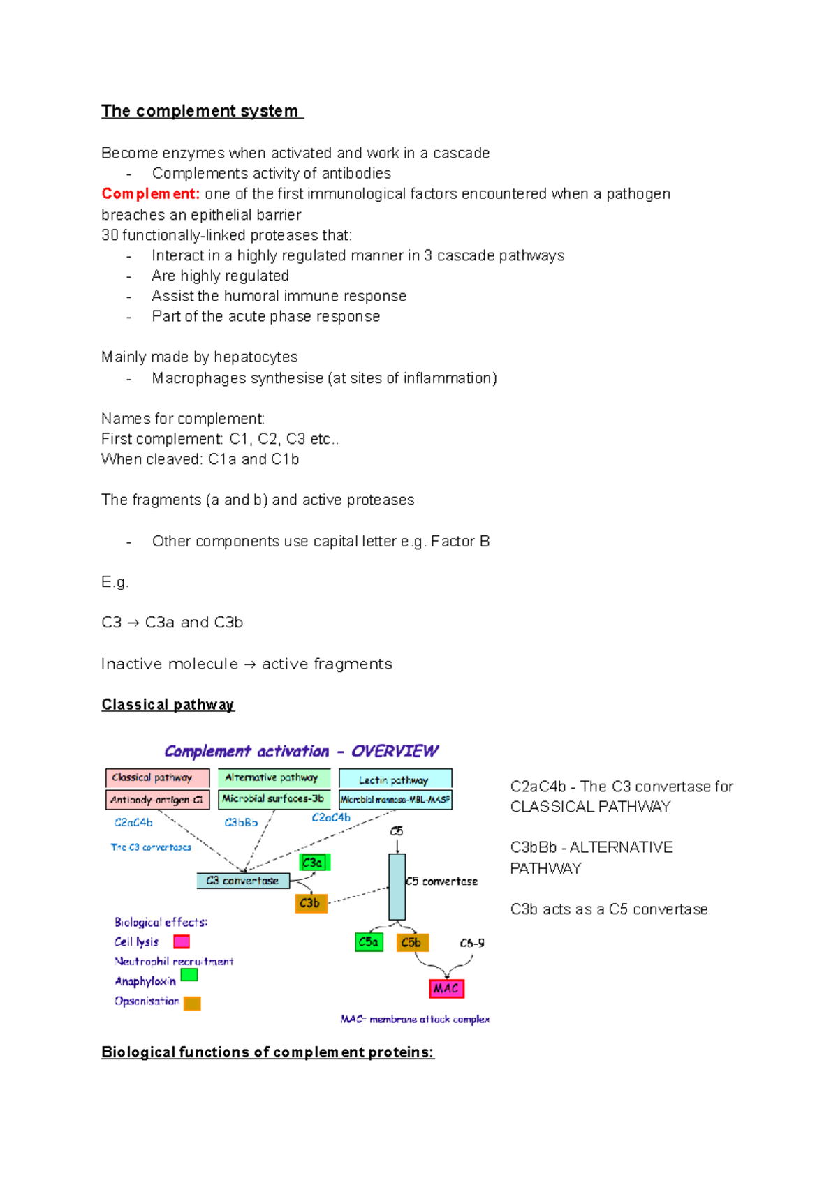 Immunology - Lecture 4 (Complement) - The complement system Become ...