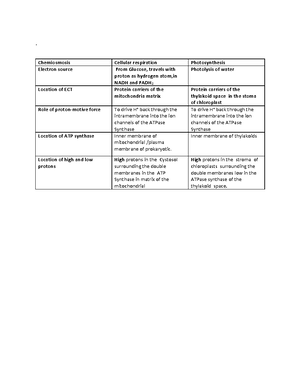 The Box From the Past - The Box From the Past Everything was covered by ...