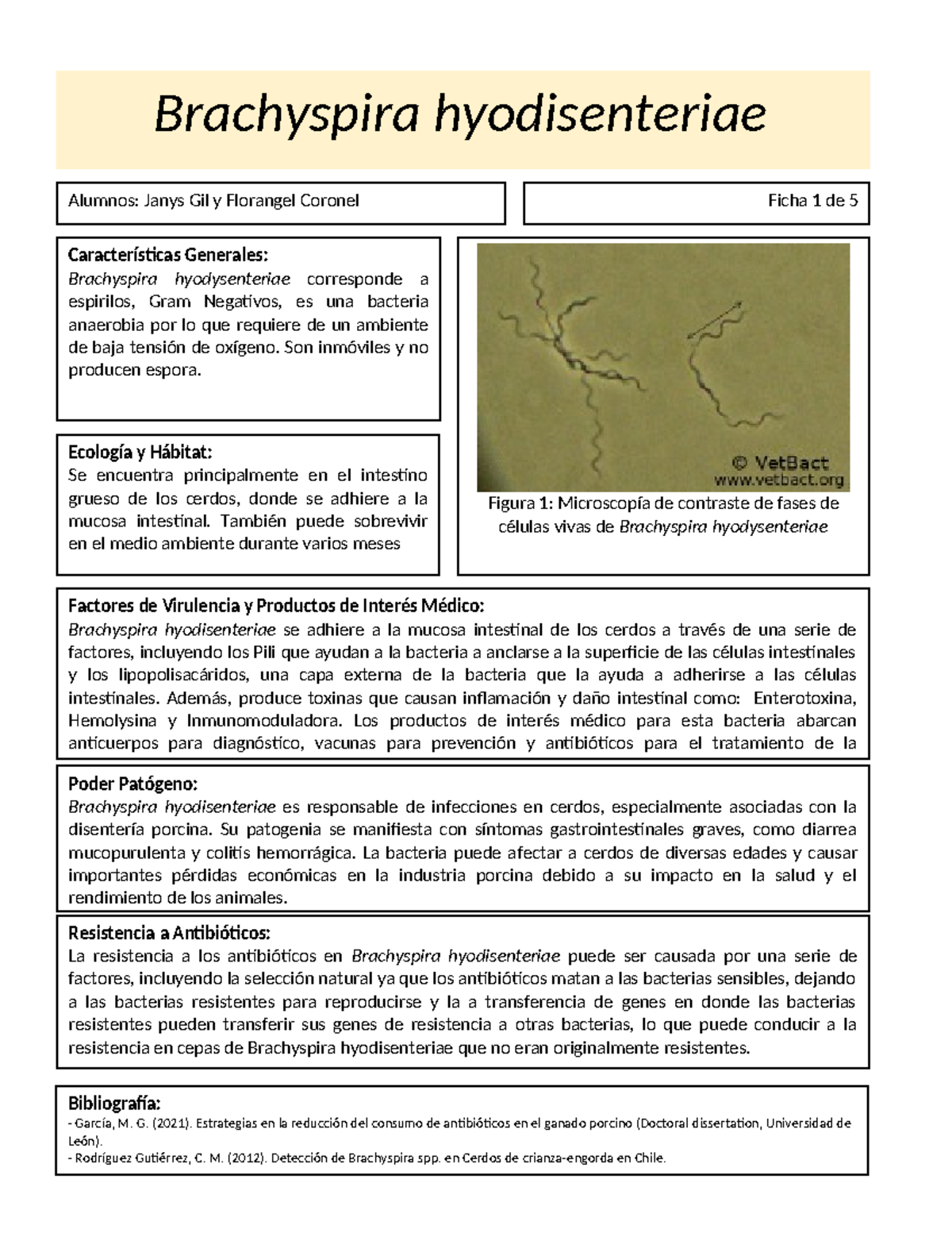 Ficha Microbiológica de Brachyspira hyodisenteriae - Brachyspira ...