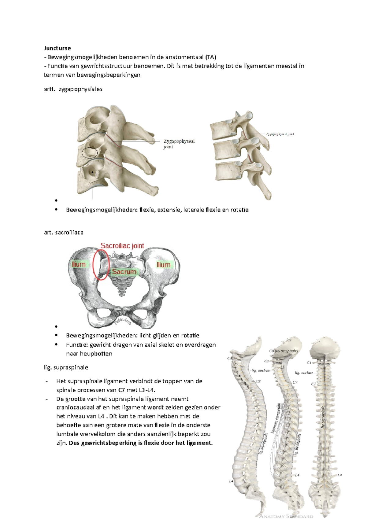 Deeltoets B romp - Juncturae Bewegingsmogelijkheden benoemen in de ...