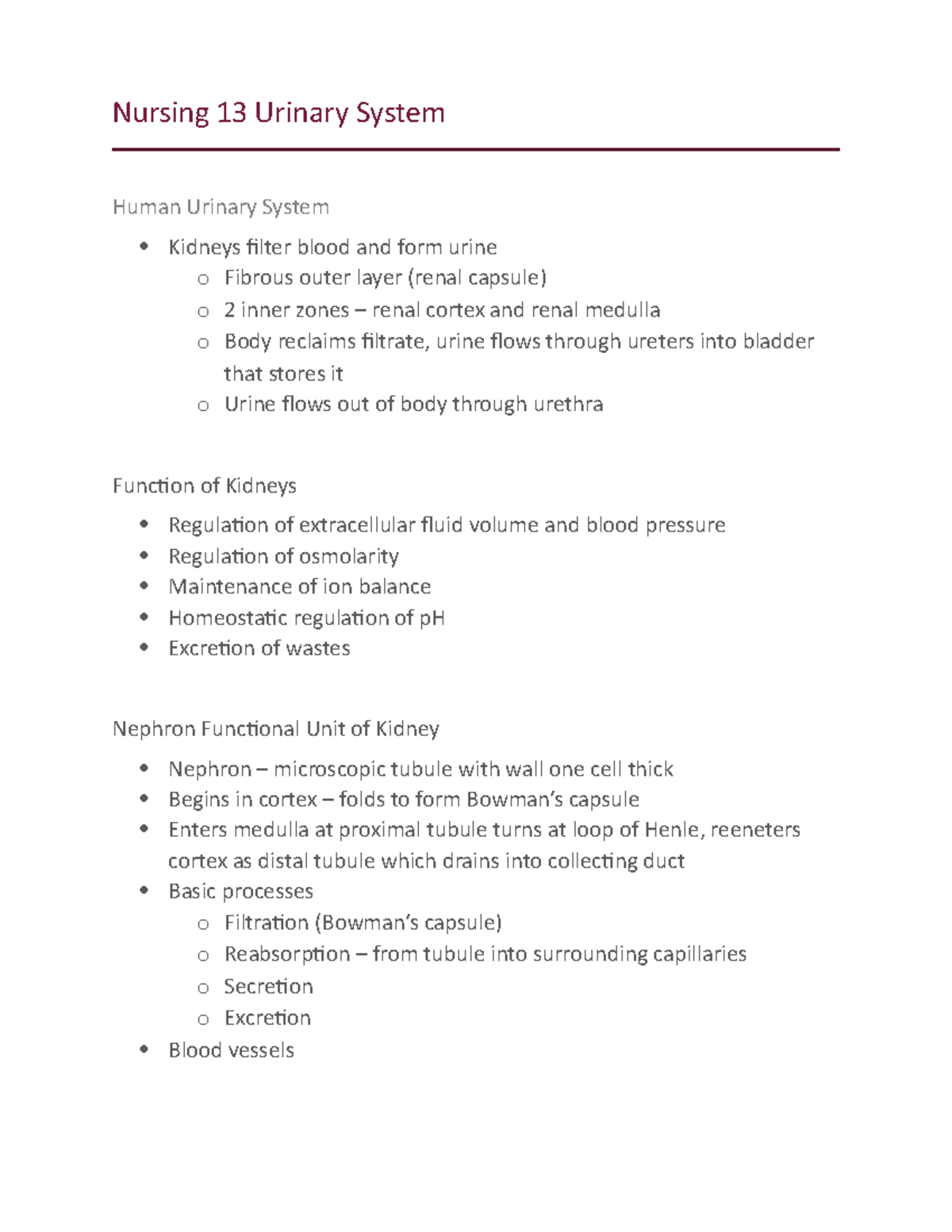 Nursing 13 Urinary System - Nursing 13 Urinary System Human Urinary ...