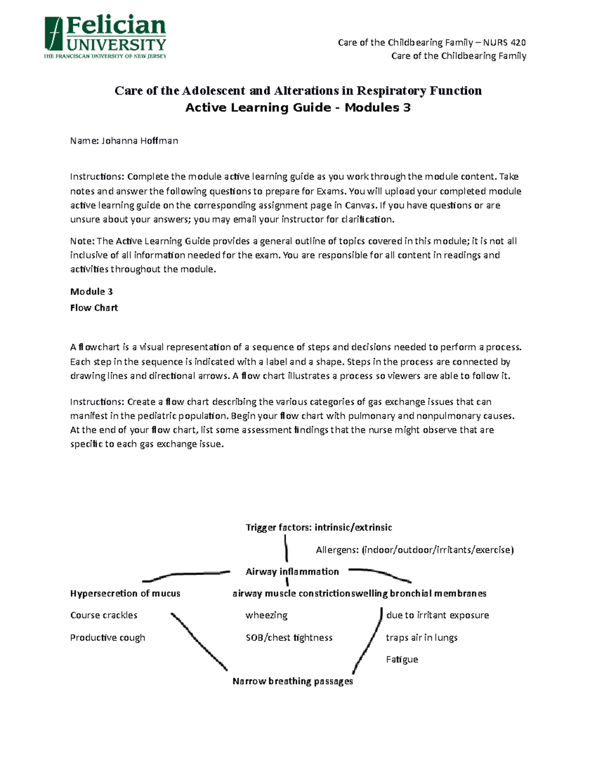 420 Care of the Adolescent and Alterations in Respiratory Function ...