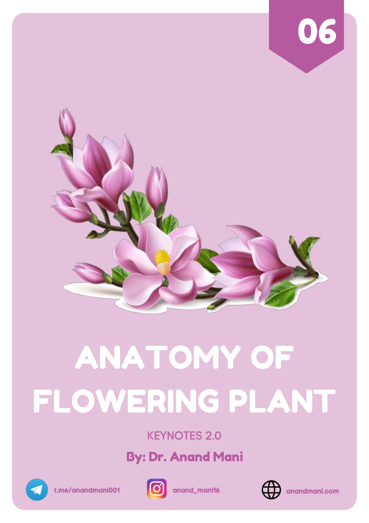 Anatomy of Flowering plant - ANATOMY OF FLOWERING PLANT 06 ####### By ...
