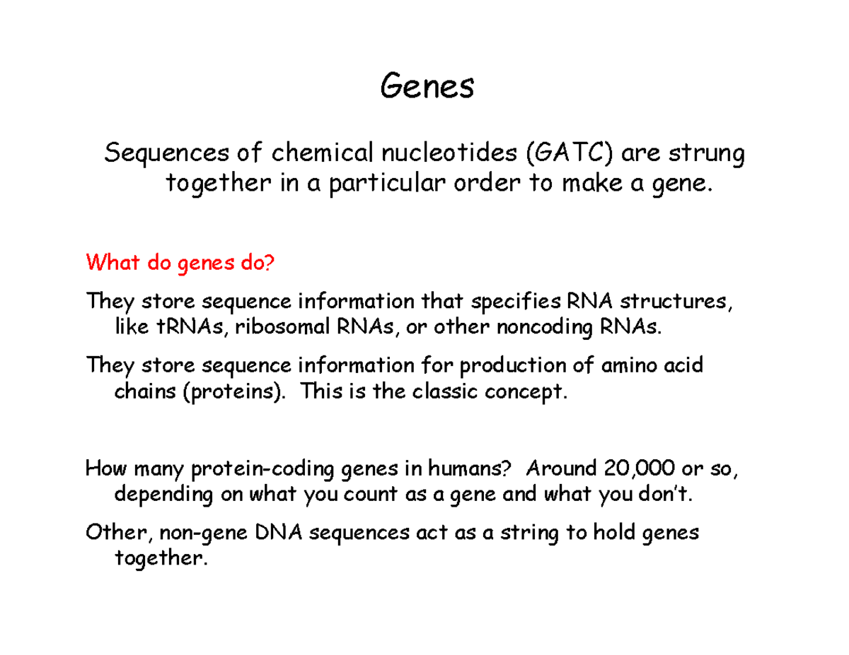 Gene Function - Sequences of chemical nucleotides (GATC) are strung ...