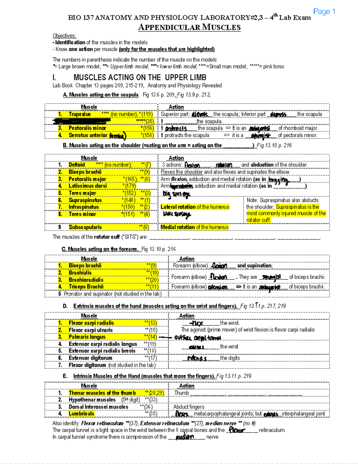 15-lab-2015-1112-171200-bio-1-37-anatomy-and-physiology-laboratory-2-3-4-th-lab-exam