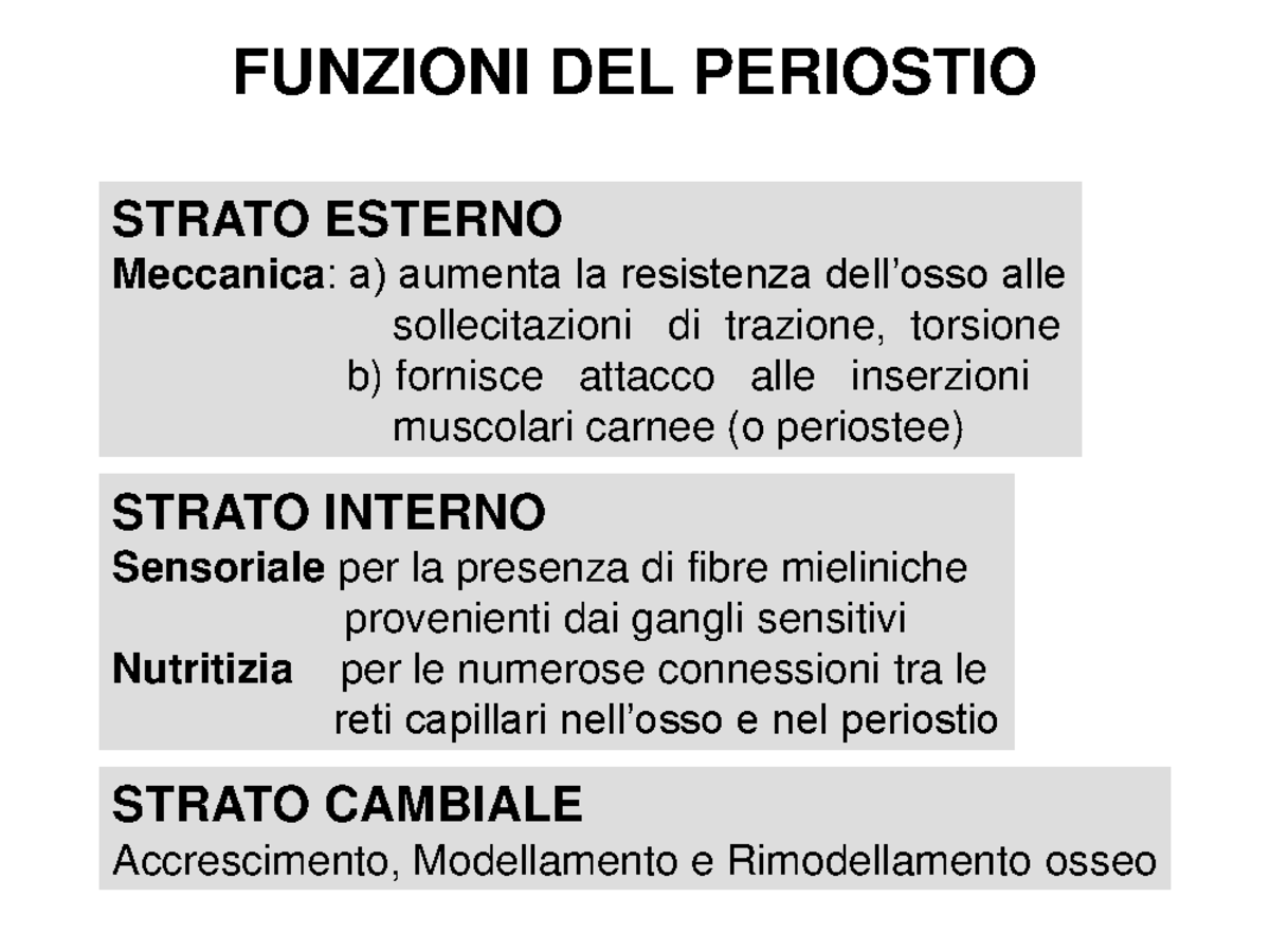 Appunti su periostio, omeostasi, cellule ossee e articolazioni ...