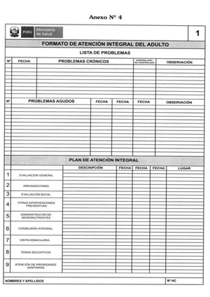 Formato DE Atencion Integral DE LA NIÑA Y EL NIÑO - Salud Familiar y ...