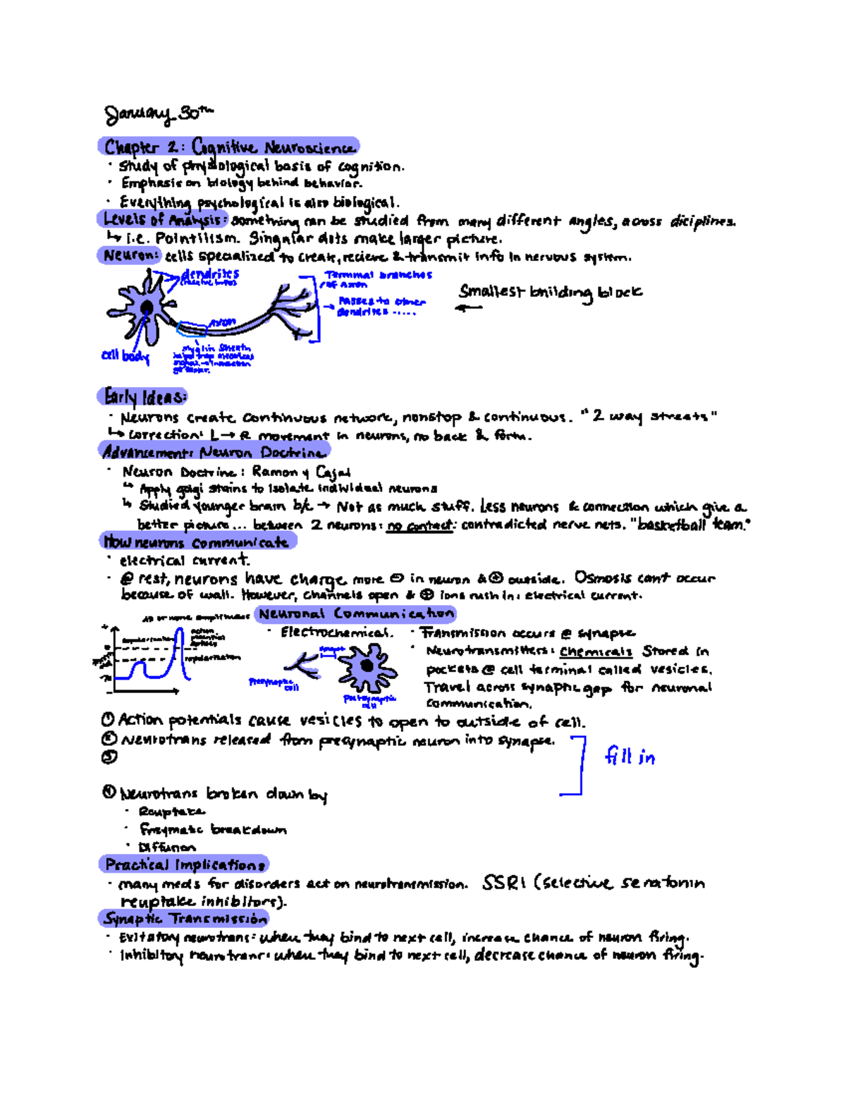 Cog Psy Lecture Ch2 Wednesday January 31 January30in Chapter 2 Cognitiveneuroscience