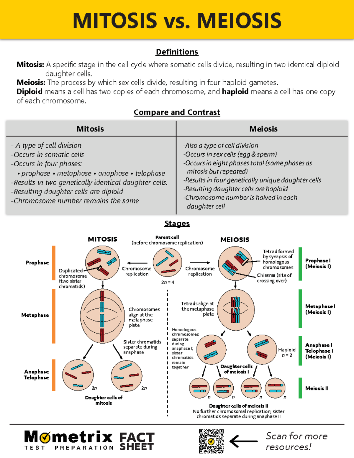 Mitosis vs Meiosis Fact Sheet - MITOSIS vs. MEIOSIS Scan for more ...