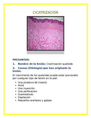 10. Células Lábiles, Células Permanentes Y Células Estables - CÉLULAS ...