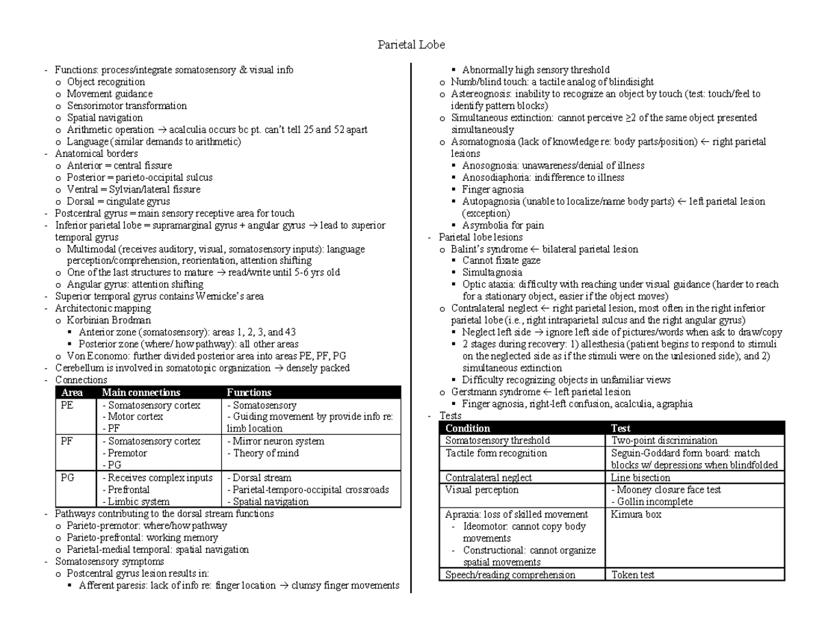 Test 3 Review - summarized notes - Parietal Lobe Functions: process ...